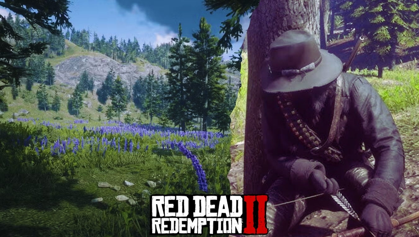 Red Dead Redemption 2 Counties: A Comprehensive Guide To The Best ...